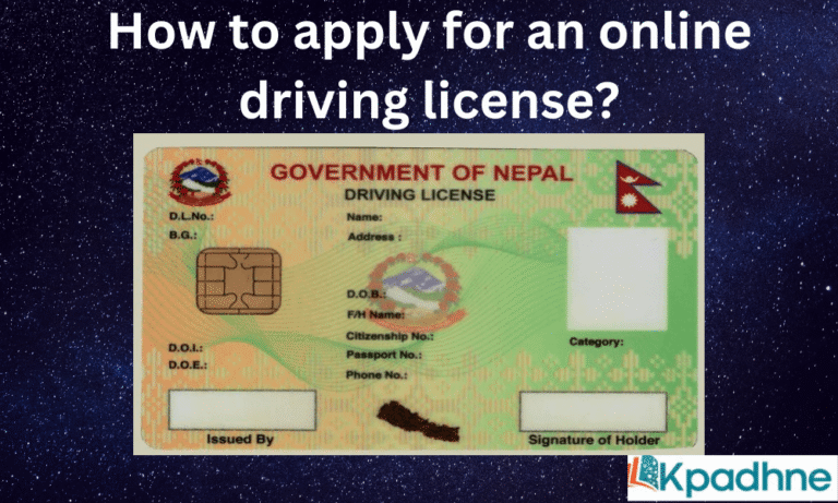 How to Apply for an Online Driving License in 2025?